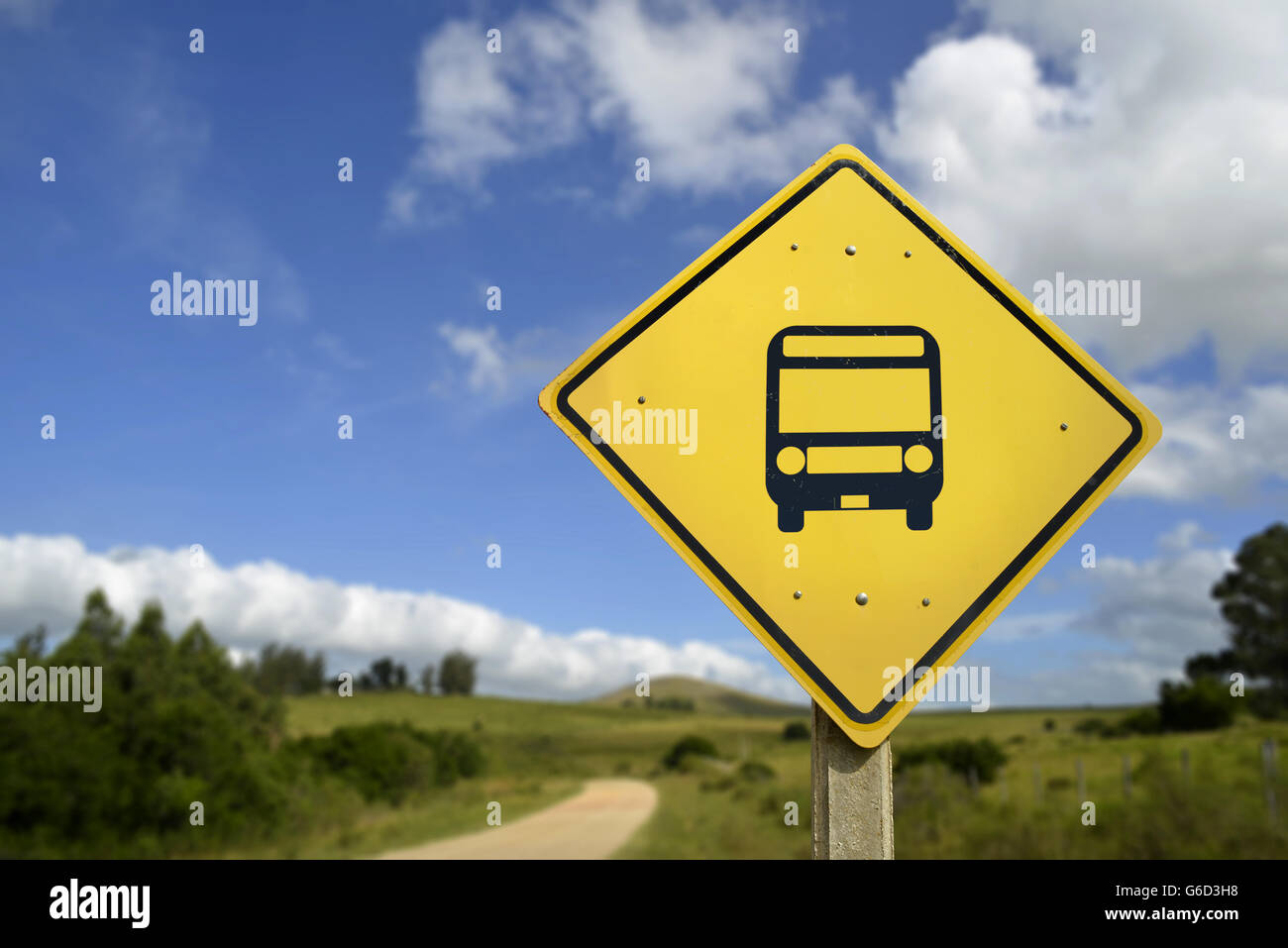 Public transport everywhere, more buses access concept. Road sign with ...