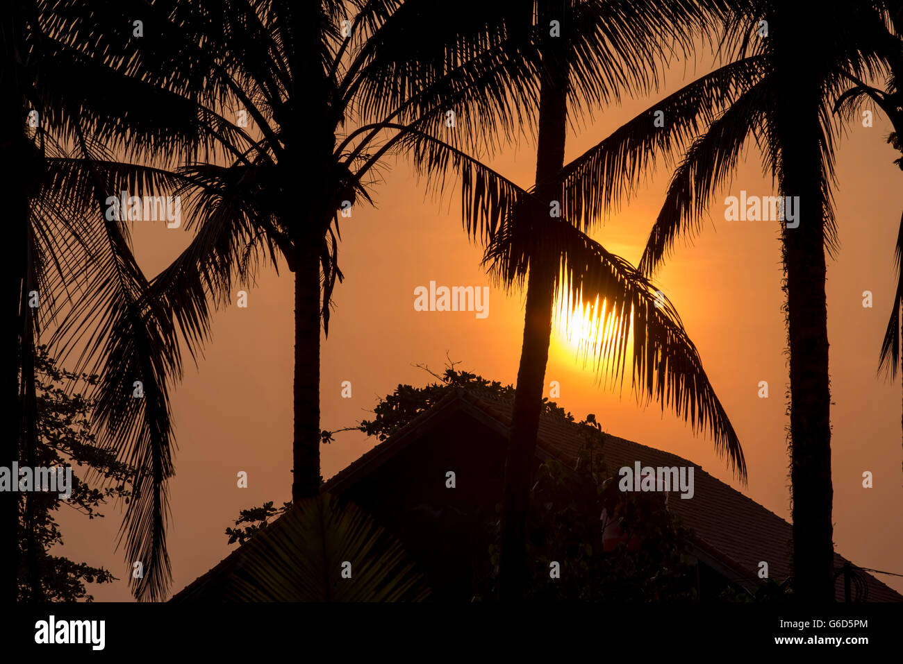 Architecture detail of beach house roof on summer sunset with palm tree ...