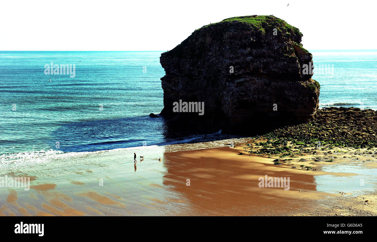 A woman walks her dogs on Marsden Beach, South Shields, with Marsden ...
