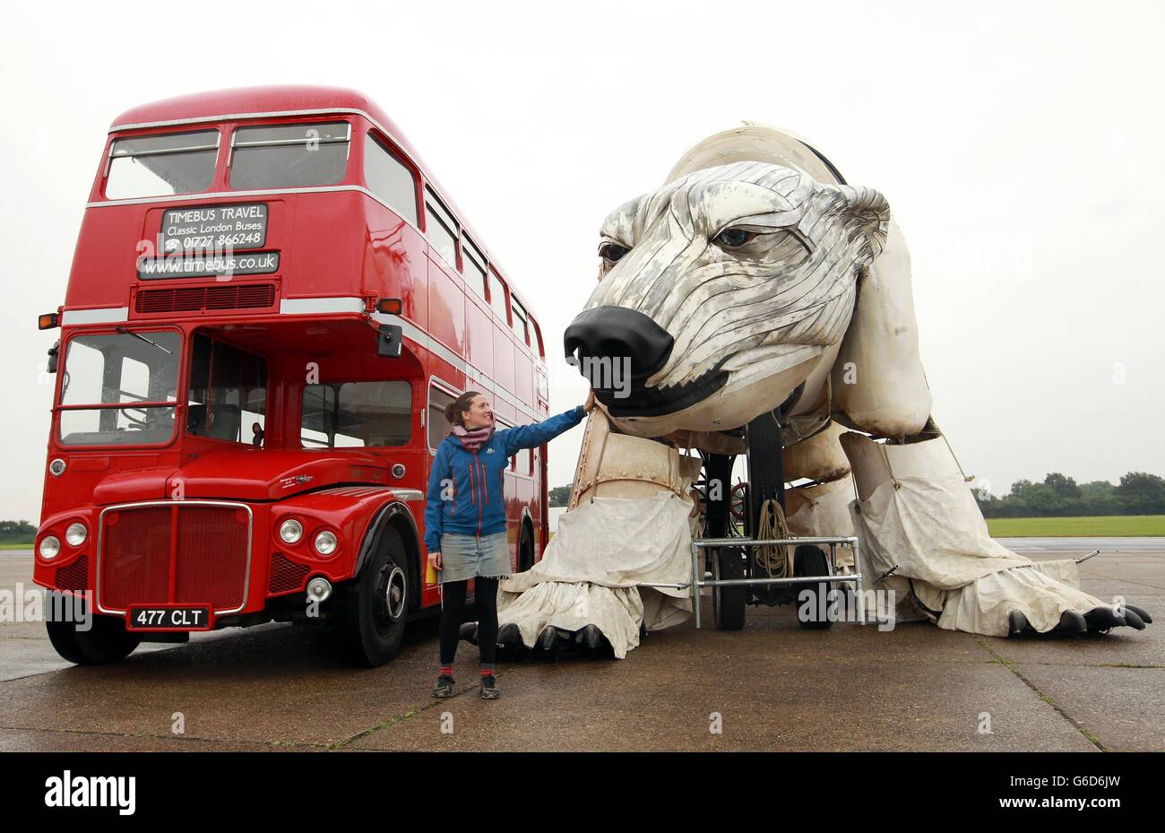 Touches the worlds largest polar bear puppet hi-res stock photography ...