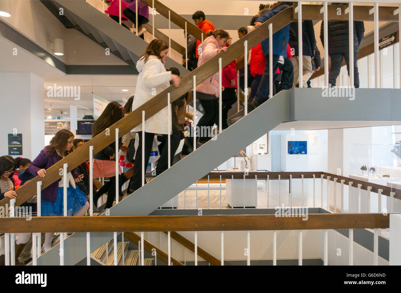 New Jersey state museum Trenton Stock Photo - Alamy