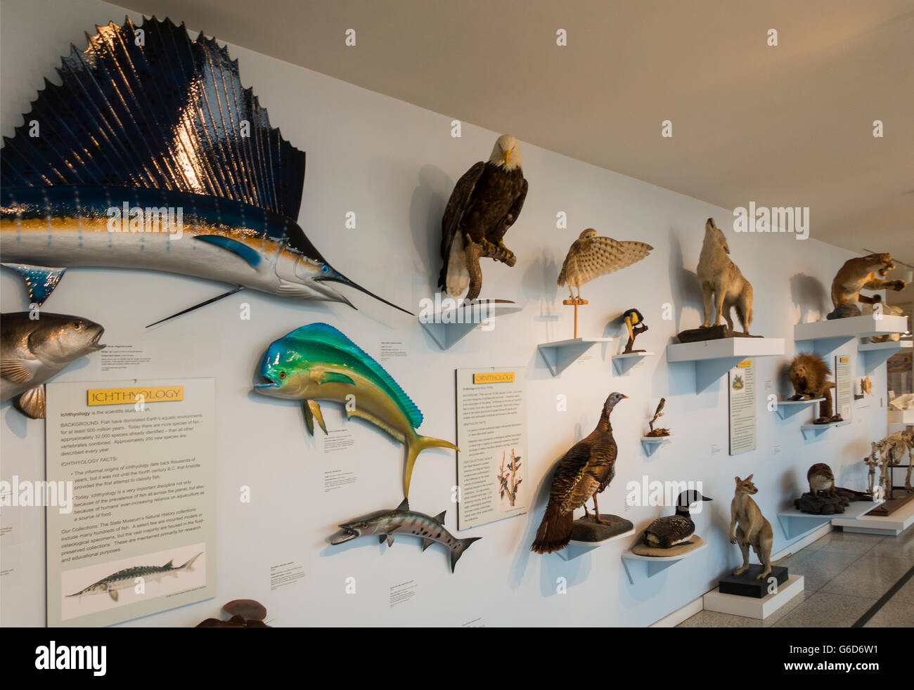 New Jersey state museum Trenton Stock Photo - Alamy