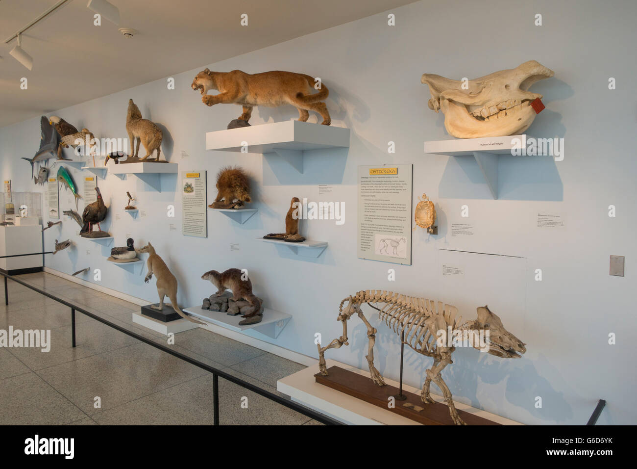 New Jersey state museum Trenton Stock Photo - Alamy