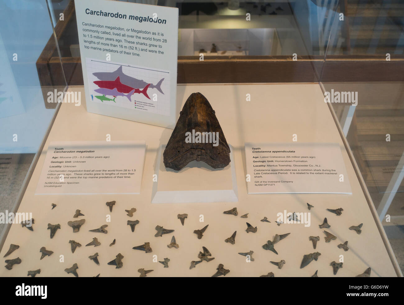 New Jersey state museum Trenton Stock Photo - Alamy
