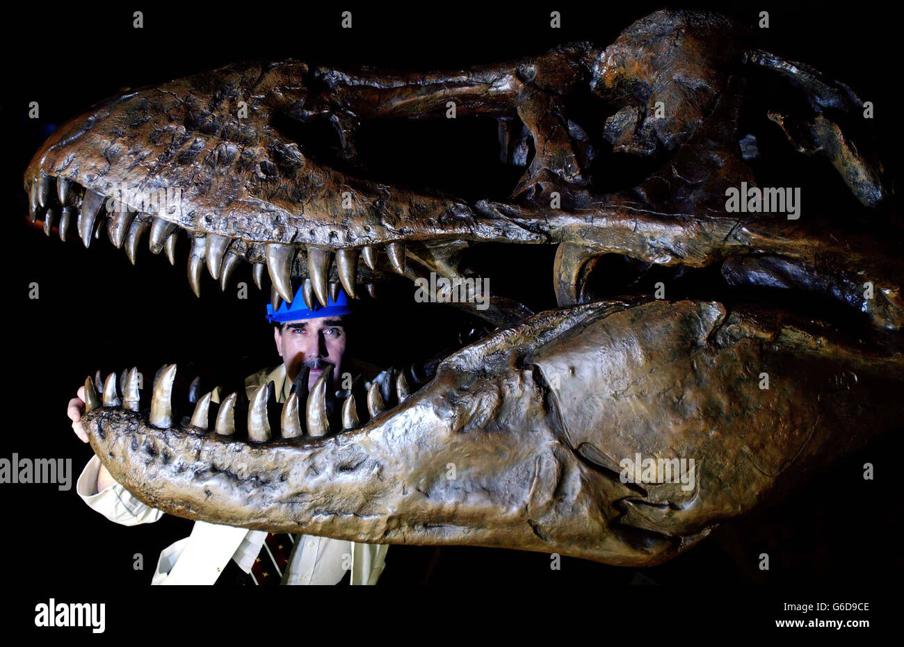 T rex building at the natural history museum hi-res stock photography ...