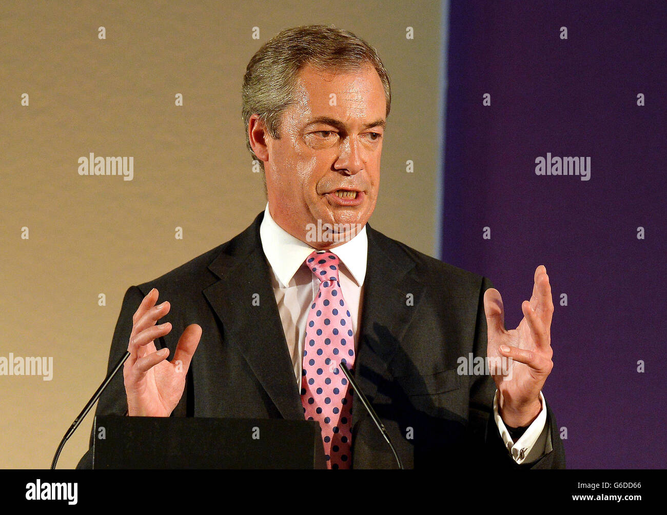 Nigel Farage, the Leader of UKIP (UK Independence Party), during his ...