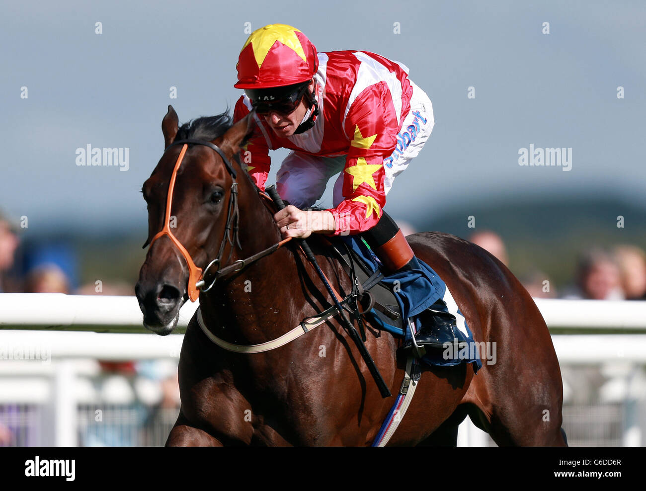 Caesar horse hi-res stock photography and images - Alamy