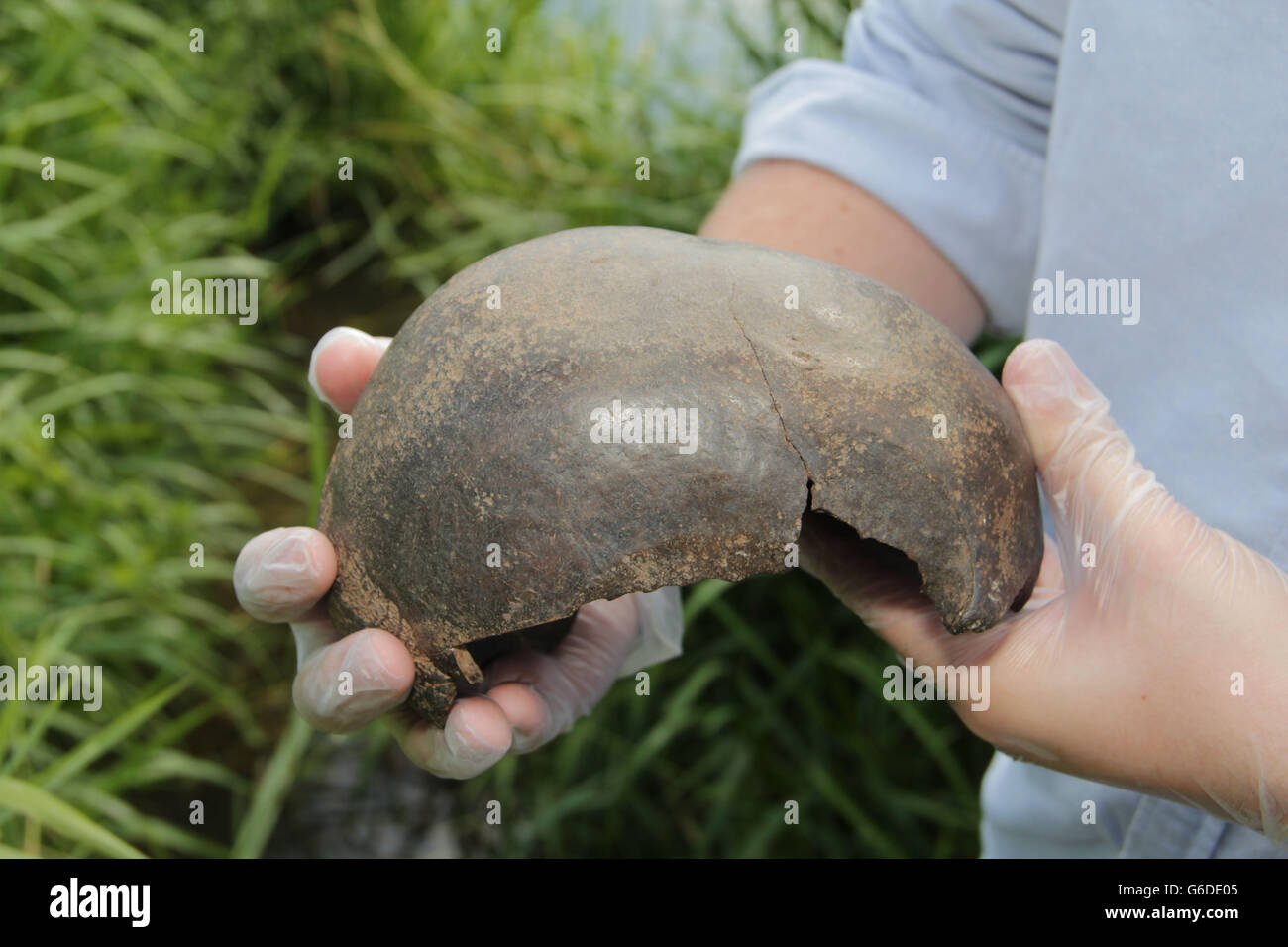 River bank Neolithic skull find Stock Photo - Alamy