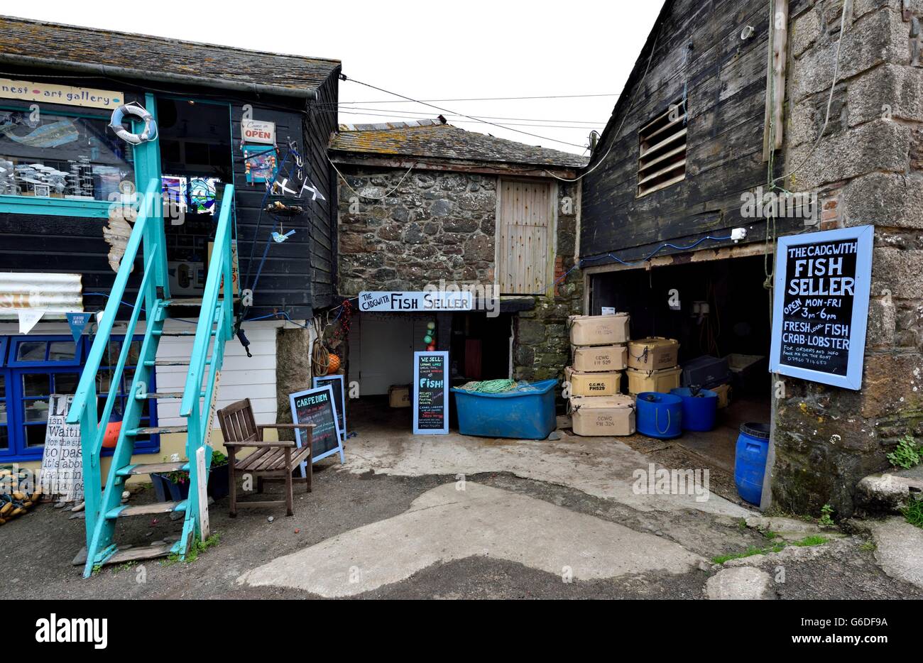 Cornwall uk fish hi-res stock photography and images - Alamy