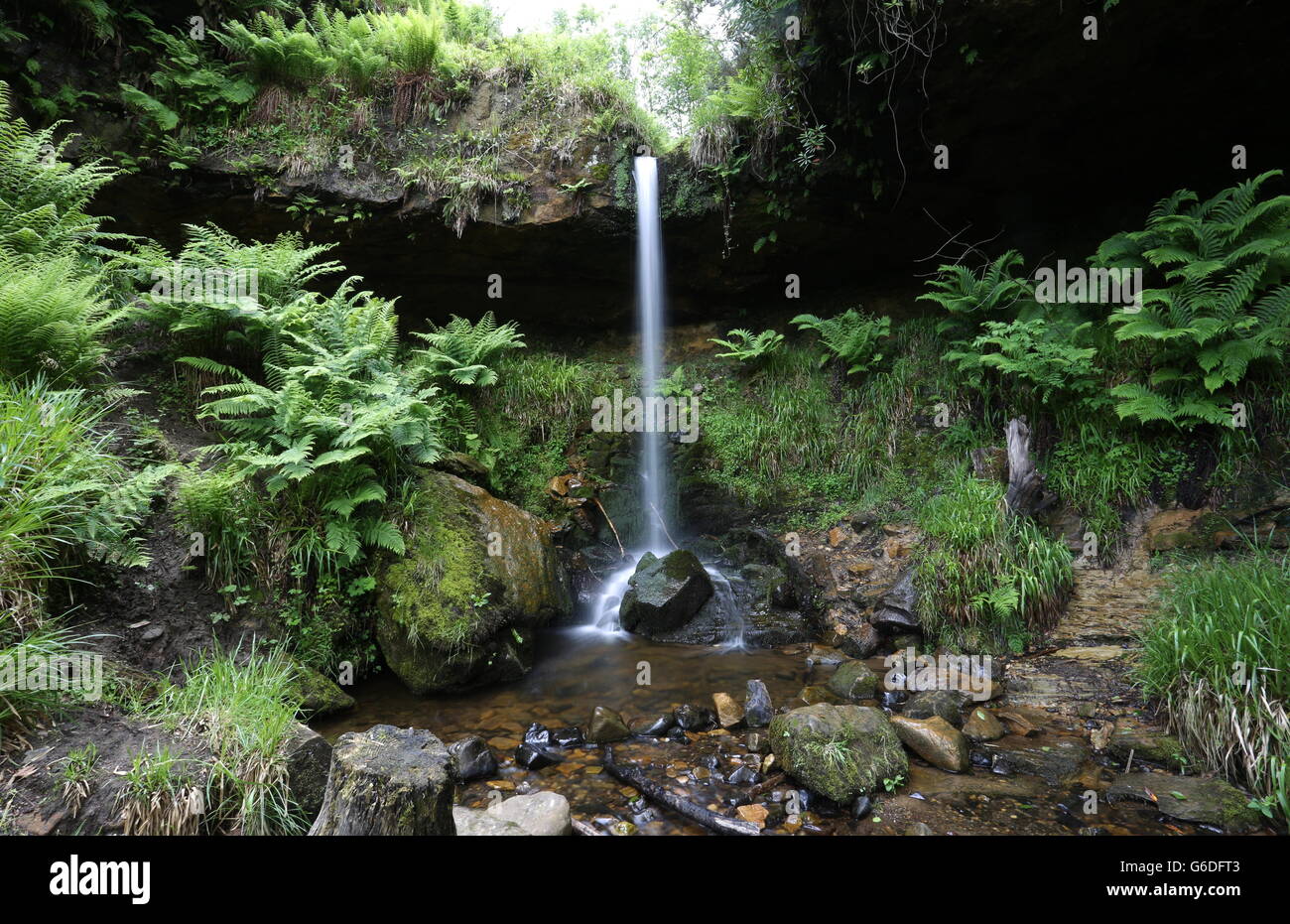 Yad Waterfall Maspie Den Falkland Fife Scotland June 2016 Stock Photo ...