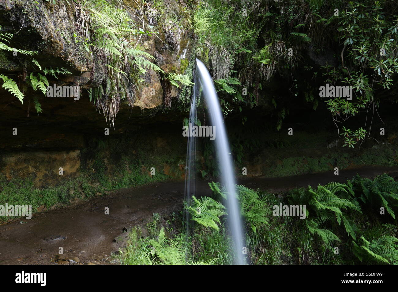 Yad Waterfall Maspie Den Falkland Fife Scotland June 2016 Stock Photo ...
