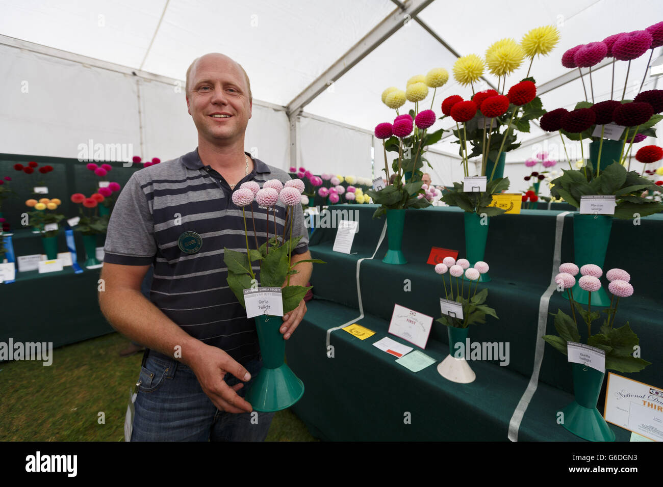 Social wisley half length mid hi-res stock photography and images - Alamy