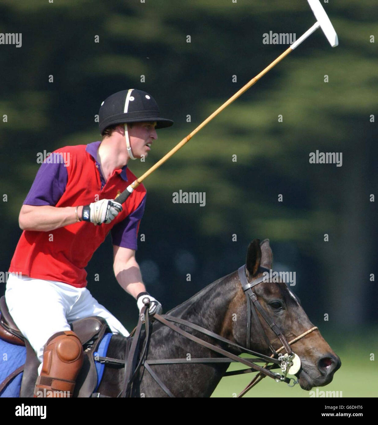 Royal sport polo action prince charles prince of wales hi-res stock ...
