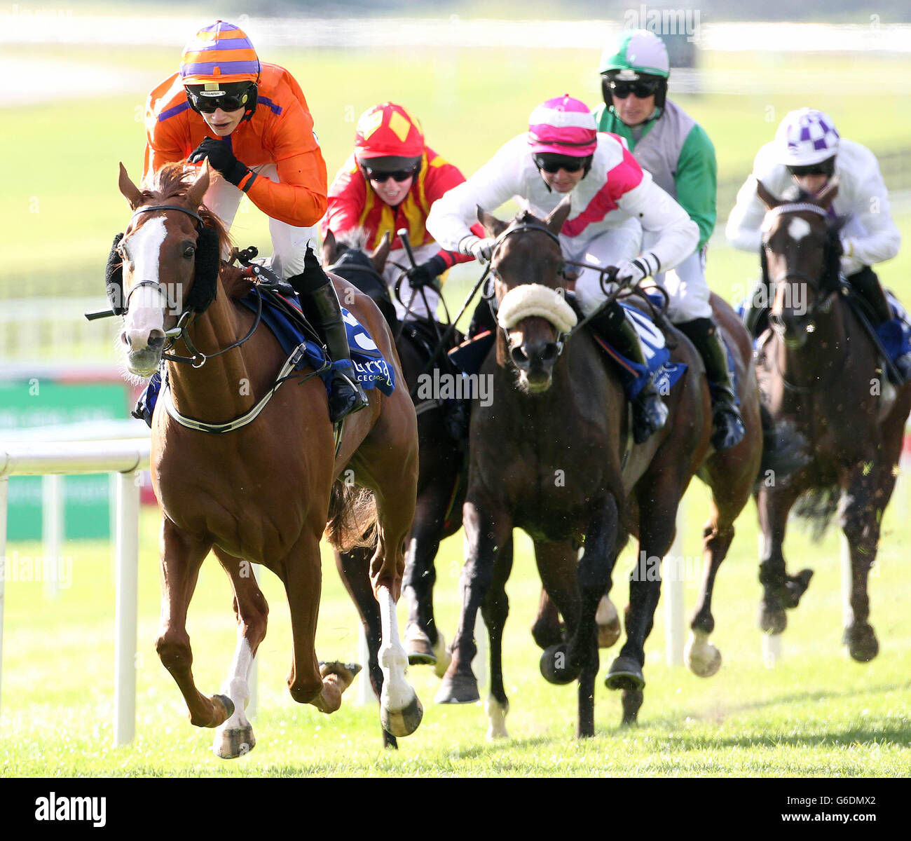 Tipperary crystal race day curragh racecourse hi-res stock photography ...