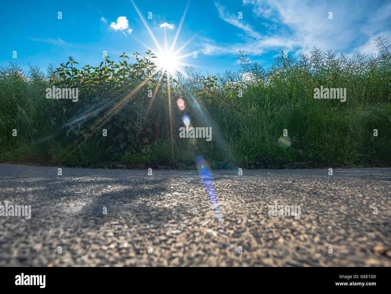 Country Road With Sun Light Effect Stock Photo - Alamy