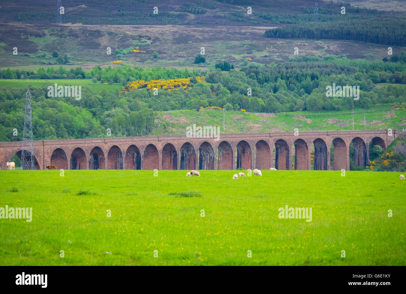 Viaduct in Scotland Stock Photo - Alamy