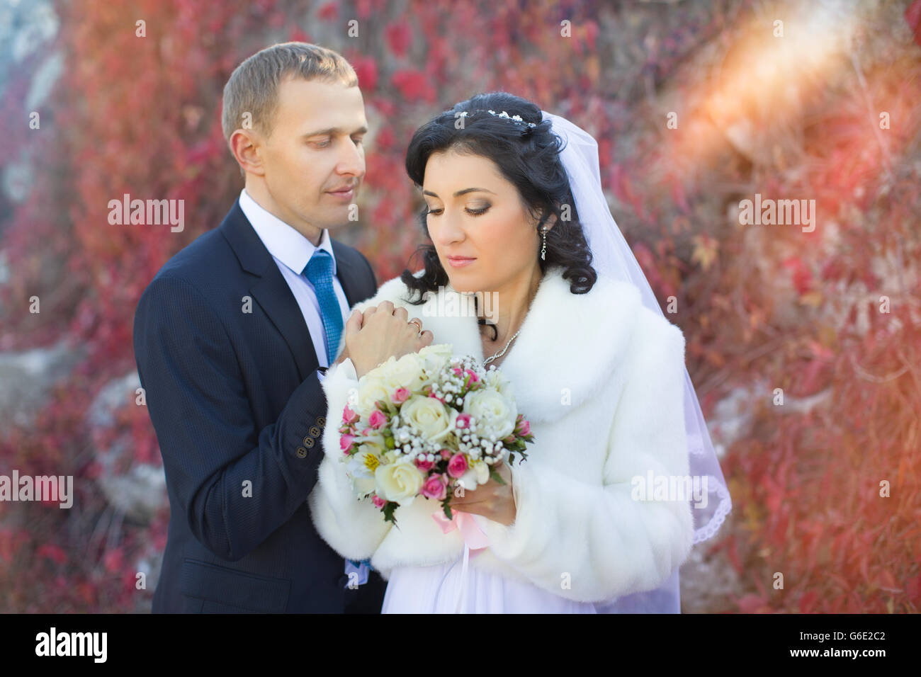 the groom gently embraces and kisses the bride Stock Photo - Alamy