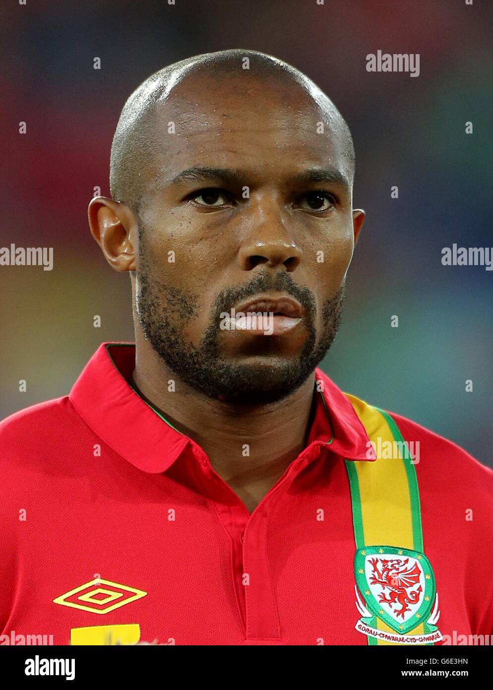 Danny gabbidon hi-res stock photography and images - Alamy