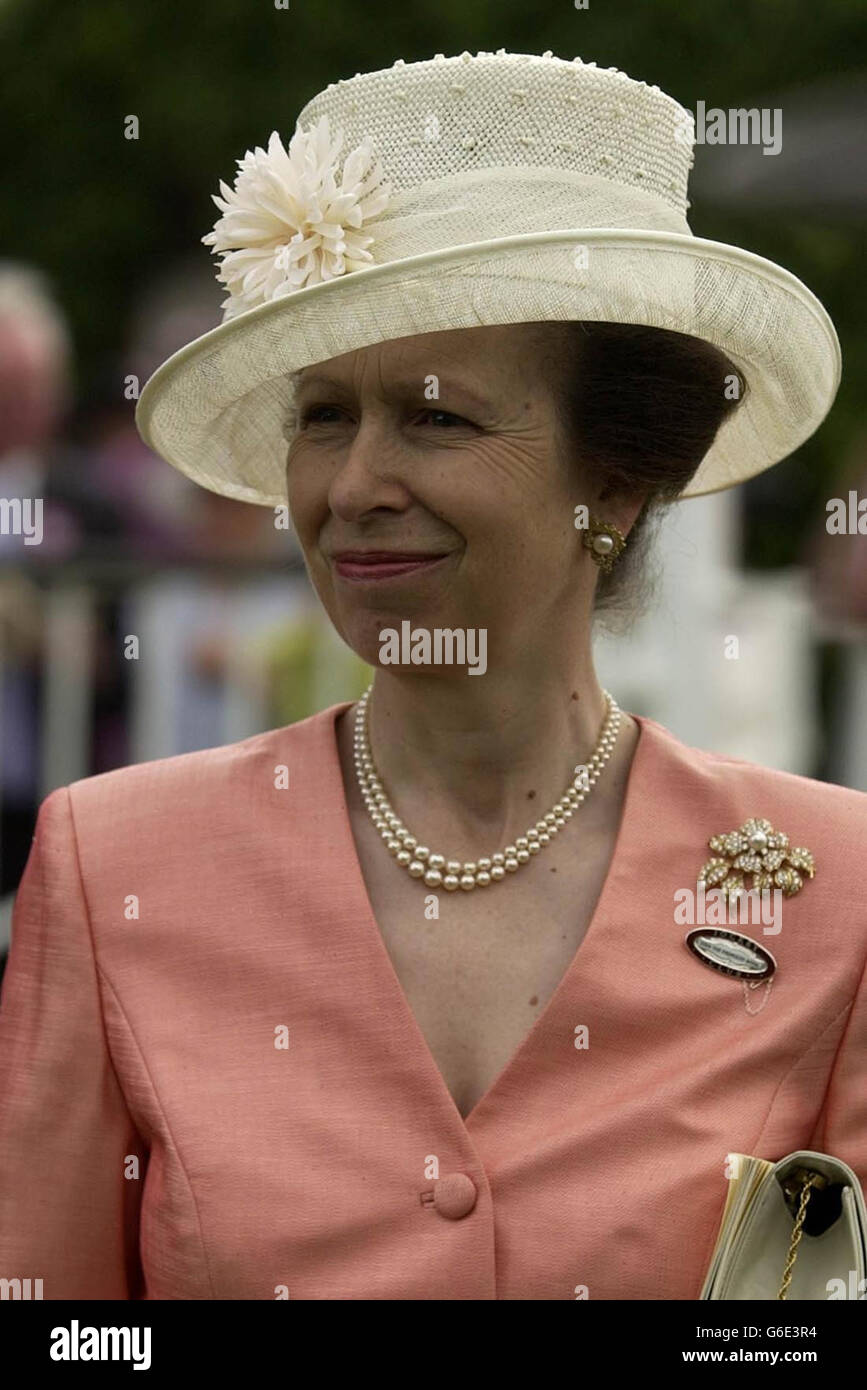 Princess Anne casts an eye over the winner's enclosre at Royal Ascot ...