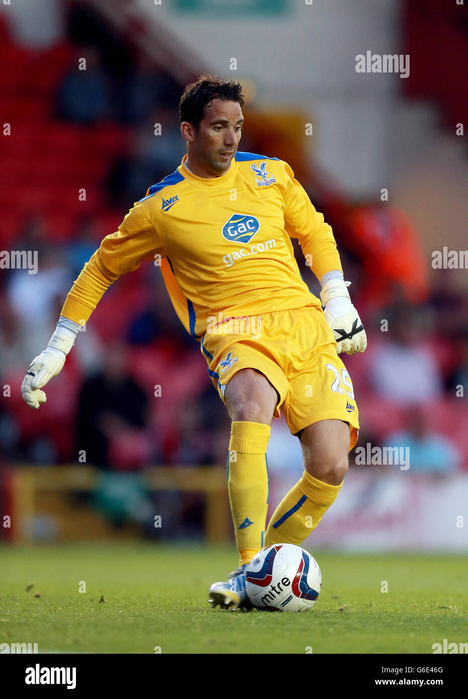Crystal Palace's Neil Alexander during the Capital One Cup, Second ...