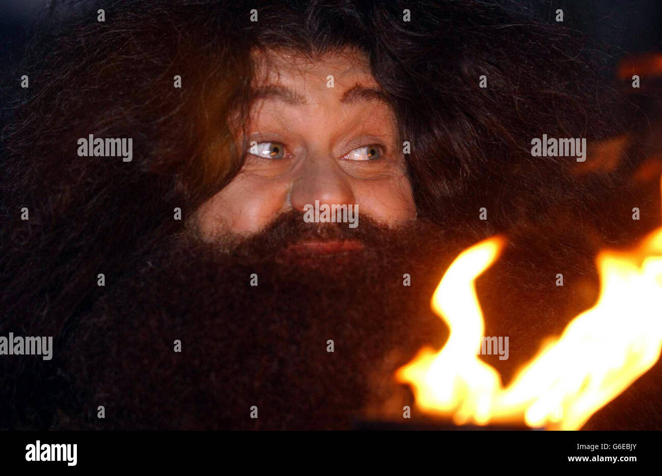 Hagrid harry potter hi-res stock photography and images - Alamy