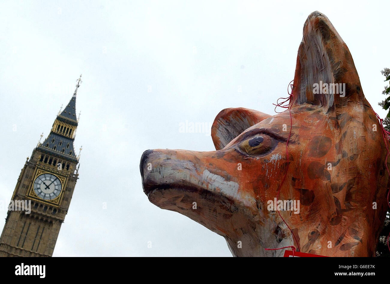 Anti-Hunting lobby protest - Parliament Square Stock Photo - Alamy