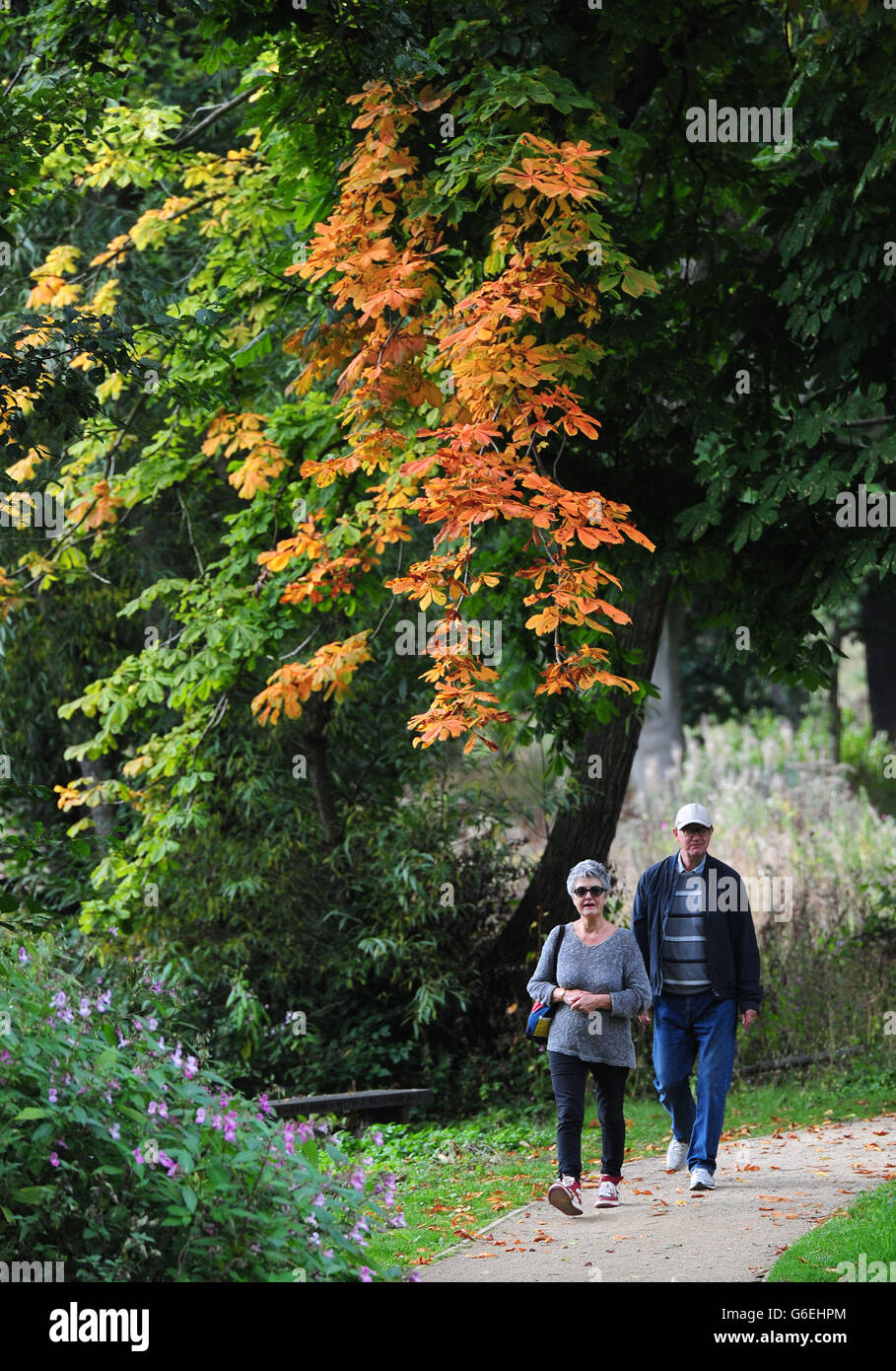 Autumn weather September 26 Stock Photo - Alamy