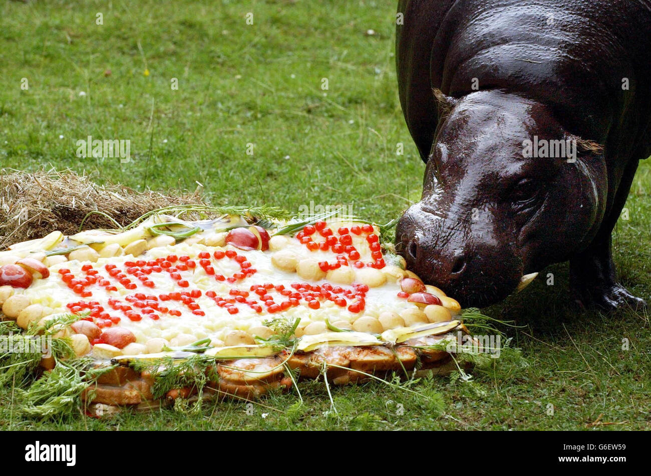 90th birthday cake hi-res stock photography and images - Alamy