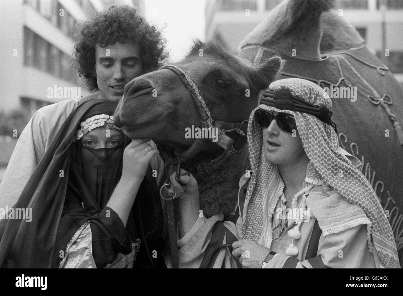 Jenny hanley magpie hi-res stock photography and images - Alamy