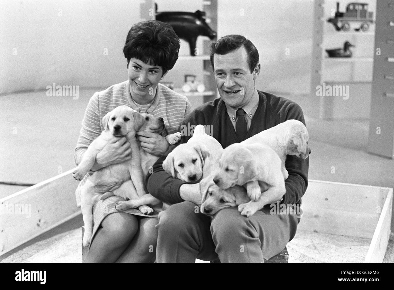Blue peter animals Black and White Stock Photos & Images - Alamy