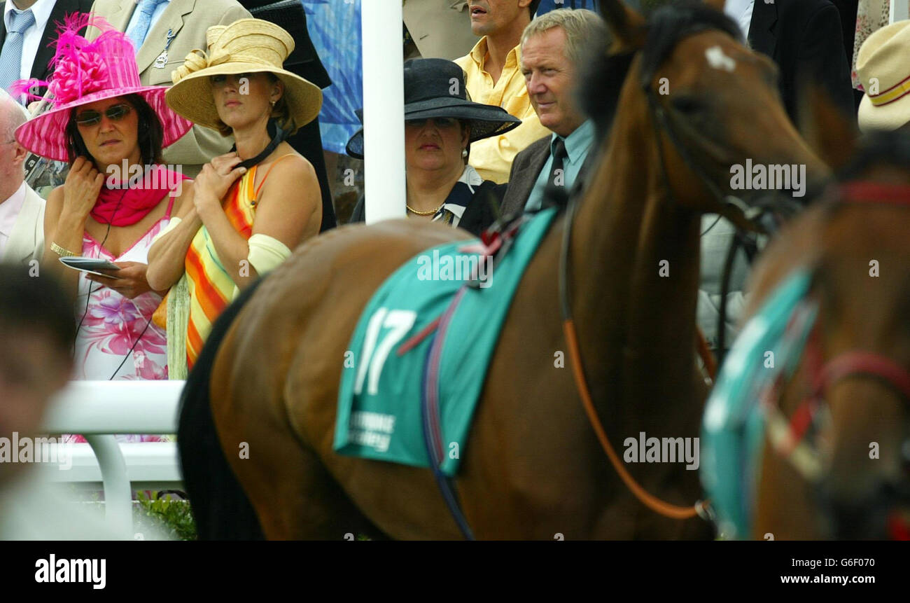 Racegoers check out the form of the horses in the parade ring on Ladies ...