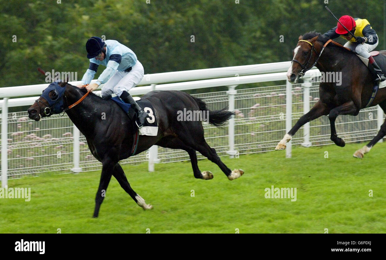 Goodwood tiber hi-res stock photography and images - Alamy