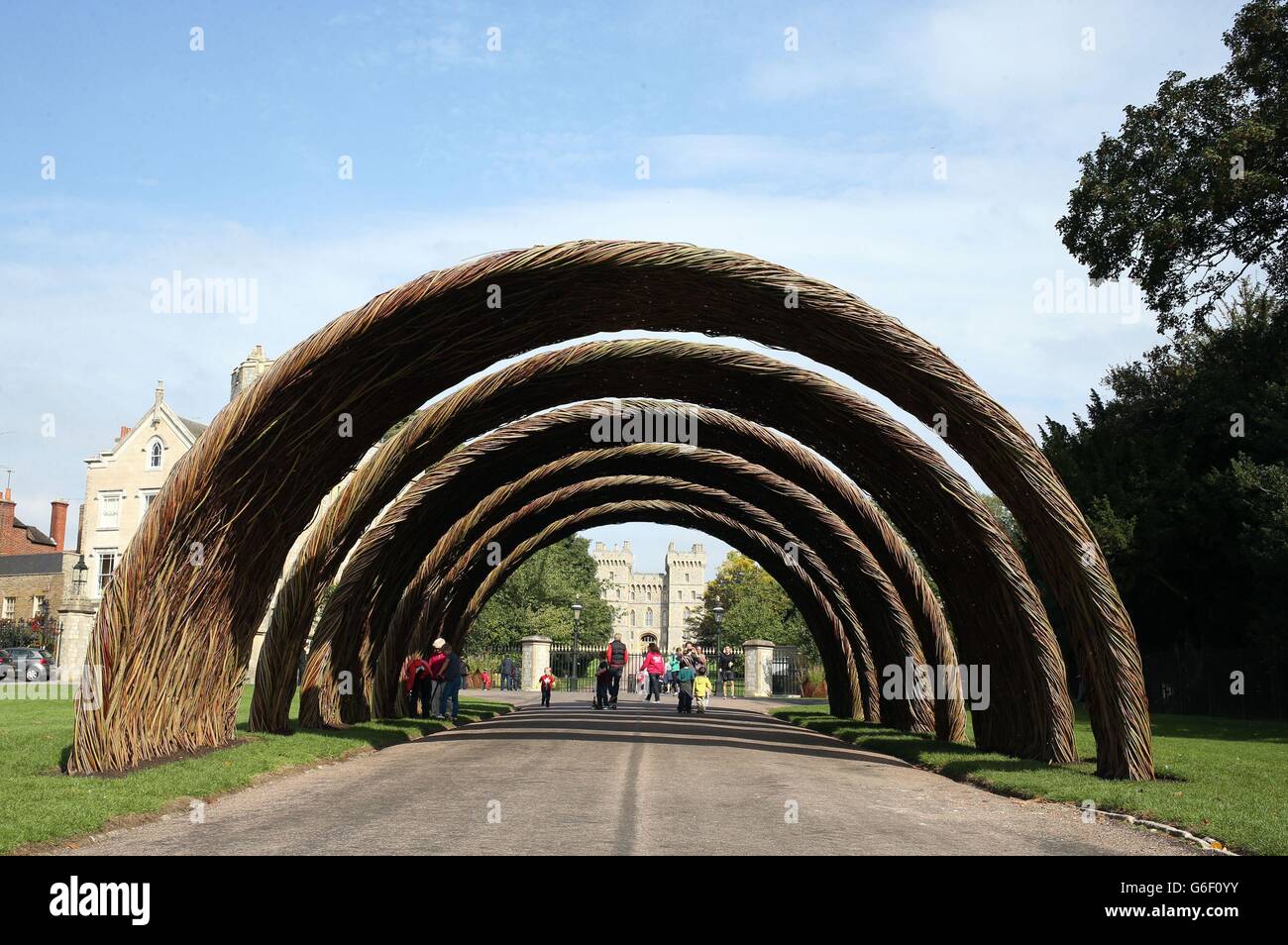 Willow crowns hi-res stock photography and images - Alamy