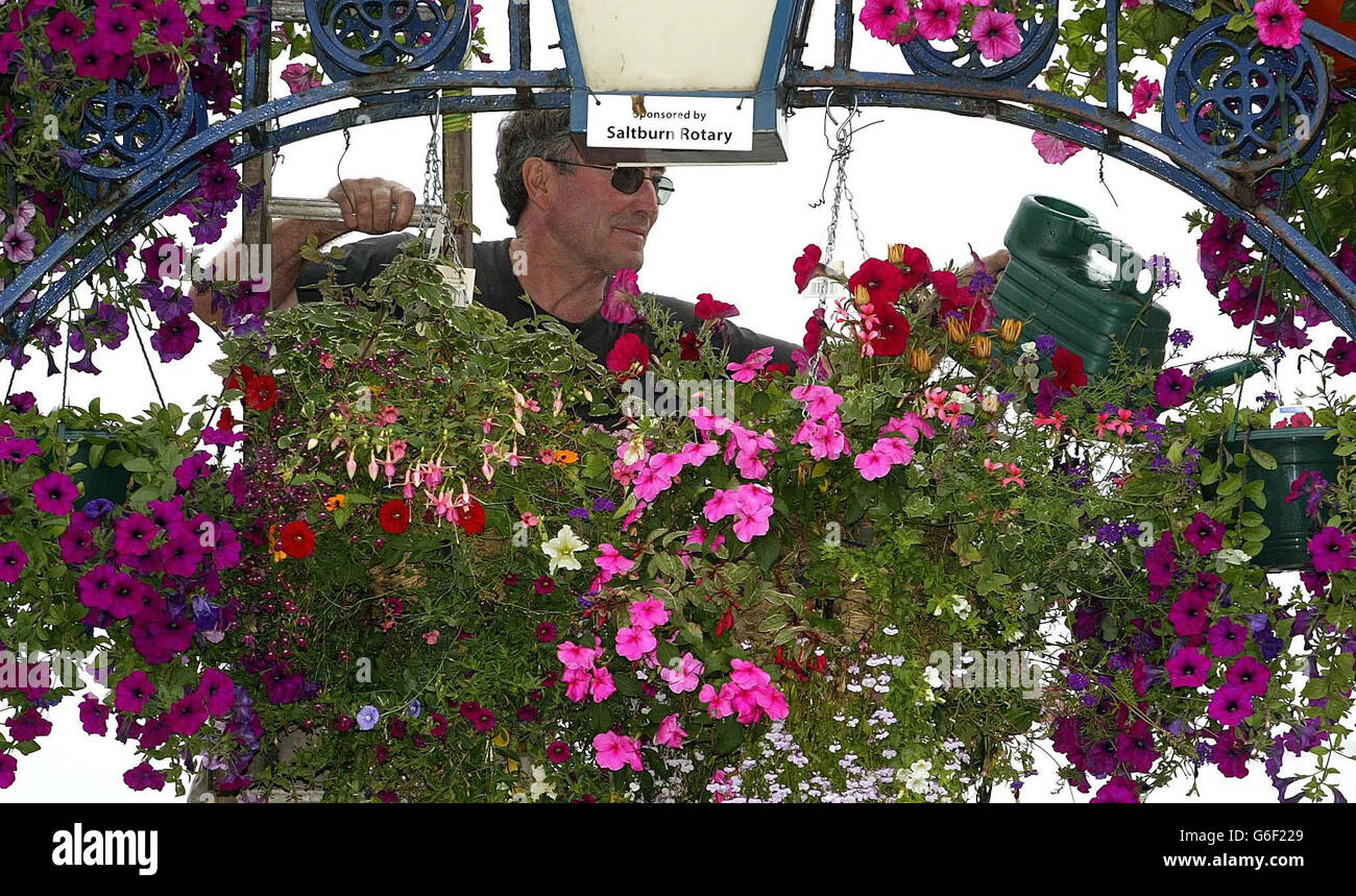 Steve dowd puts the final touches to saltburns hanging baskets hi-res ...