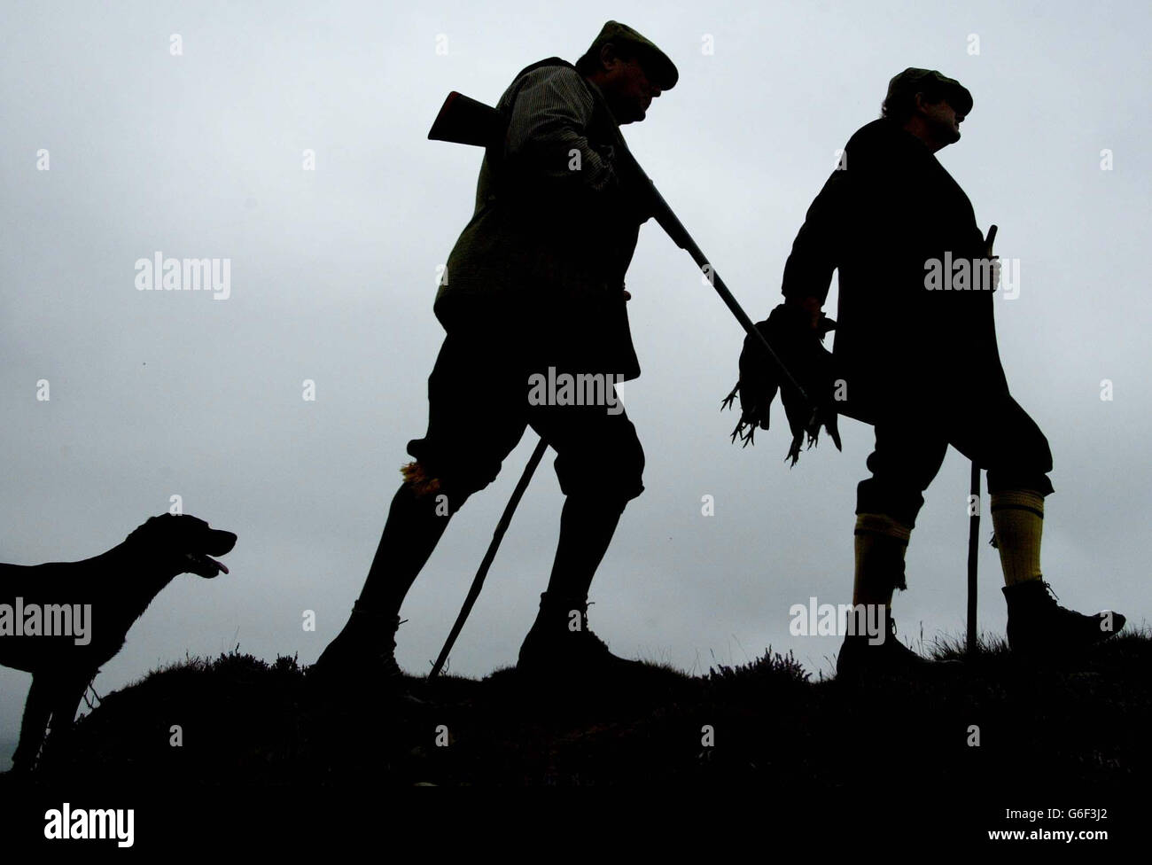 Grouse Hunting Season Stock Photo - Alamy