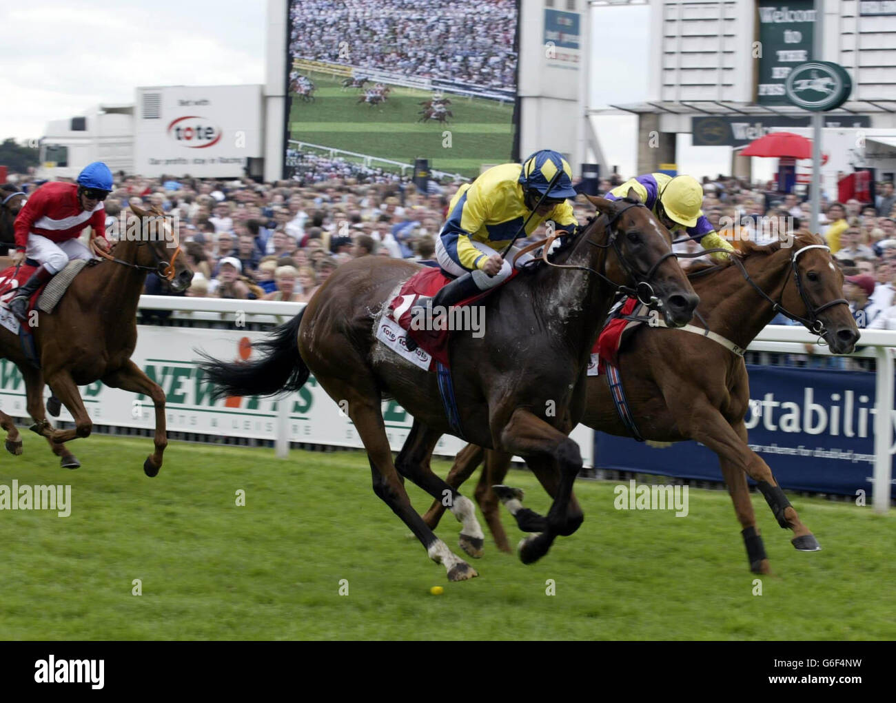 Dan abraham sport hi-res stock photography and images - Alamy