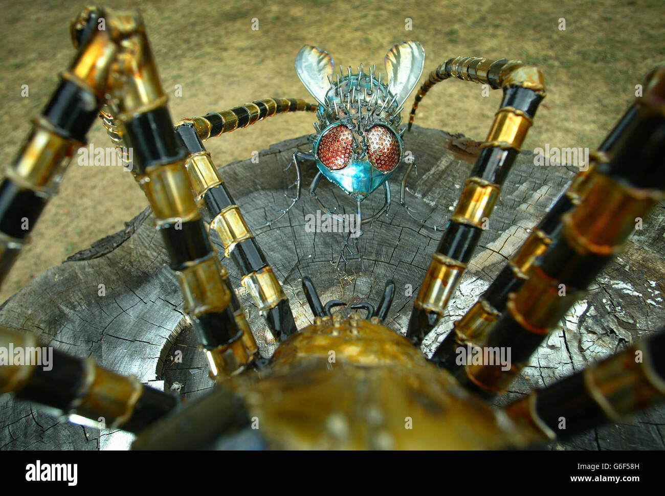 A giant metal spider prepares to devour a 25cm long fly in two ...