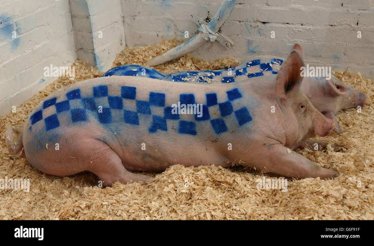 Banksy police stencil hi-res stock photography and images - Alamy