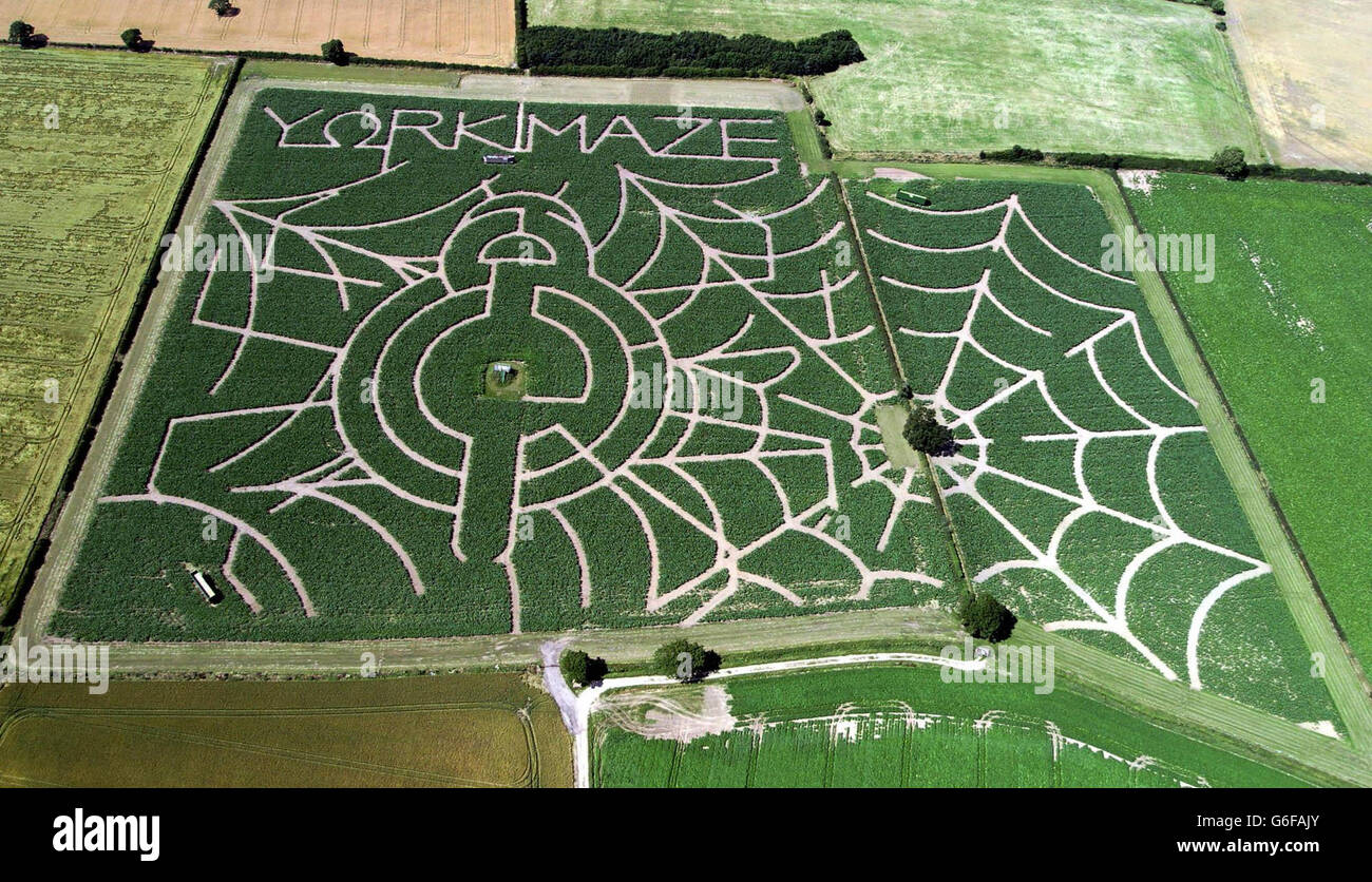 The intricate 30-acre Maize Maze at Heslington, near York. The maze, in ...