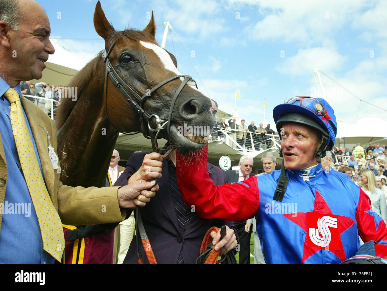 Horseracing pat eddery hi-res stock photography and images - Alamy