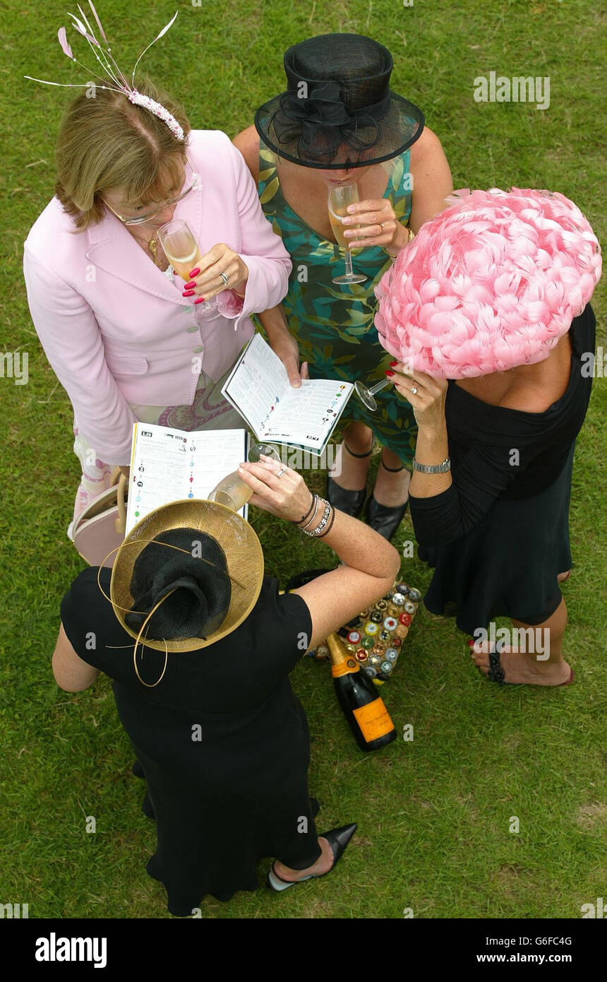 Goodwood members clockwise from top left pam kemp potter hi-res stock ...