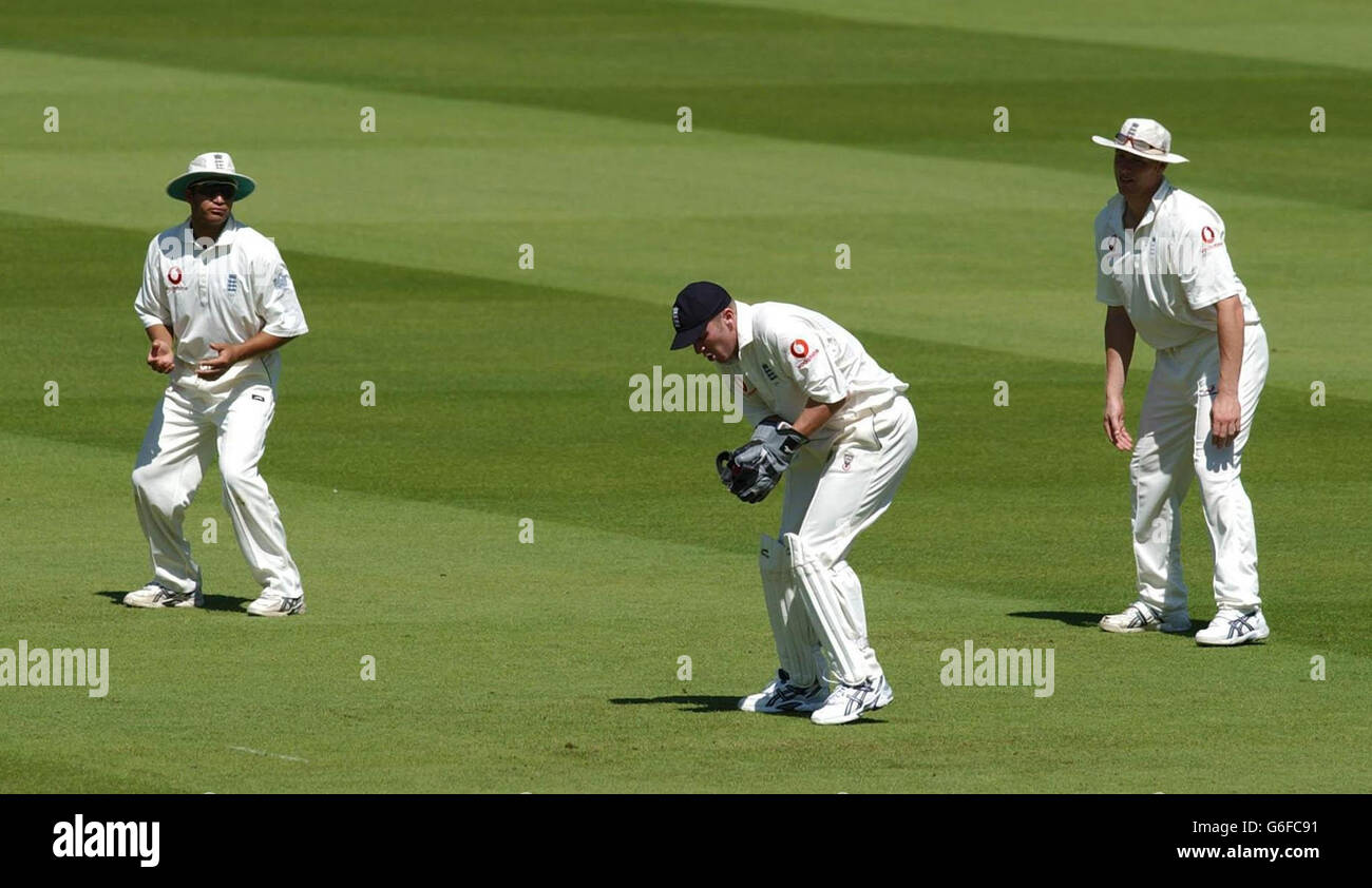 Sport cricket action andrew flintoff mark butcher hi-res stock ...