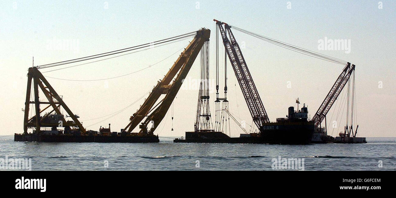 The stern section (centre of frame) of the car carrier Tricolor which ...
