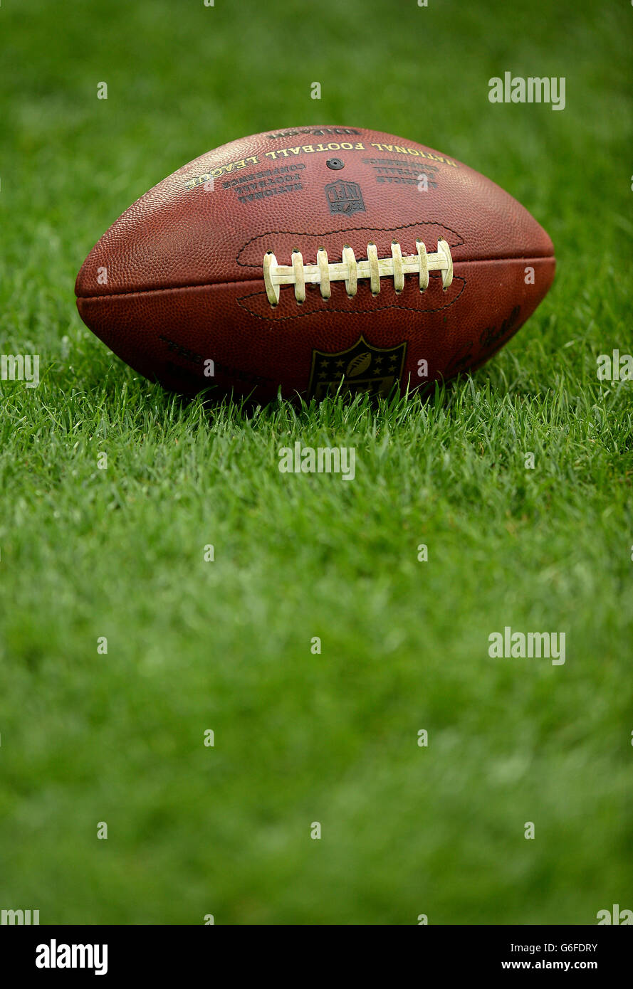 Official Nfl Football On Grass