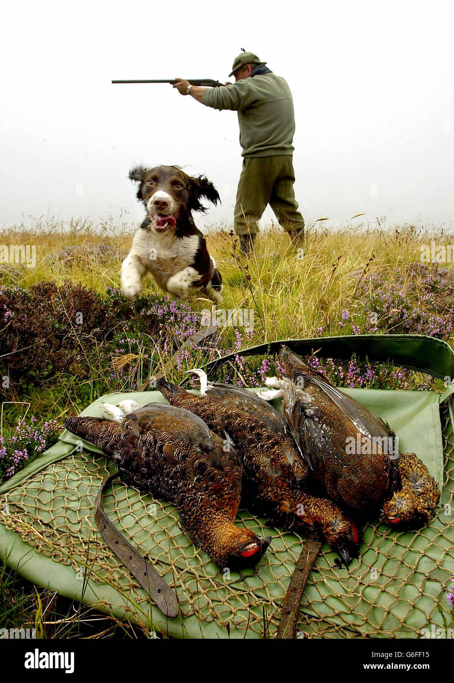 It is the traditional start of the hunting season hi-res stock ...