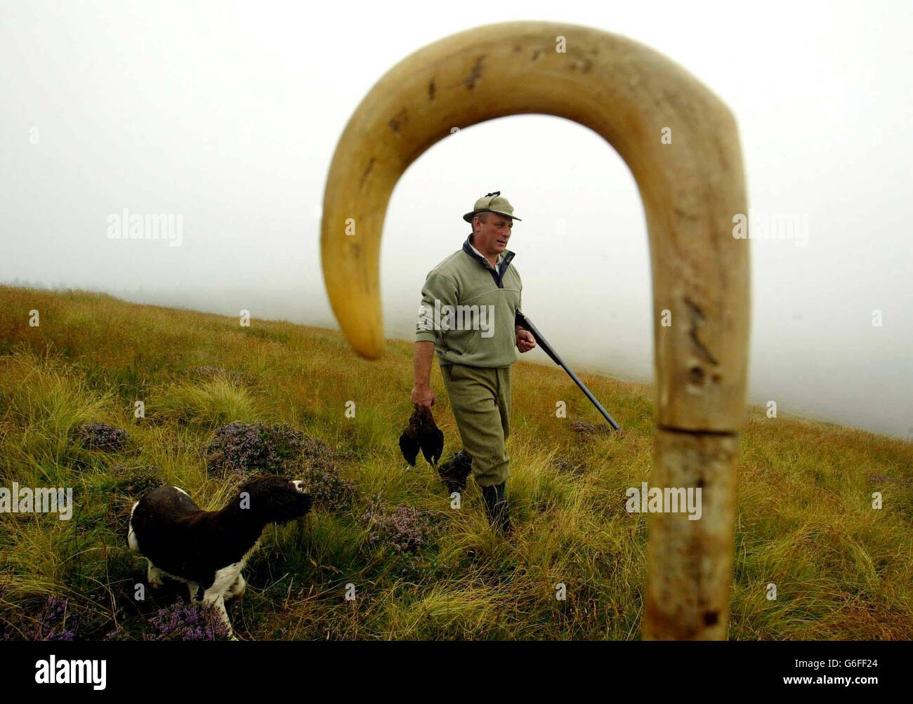 Gamekeeper Alex Hogg with his dog Tilly at the start of the grouse ...