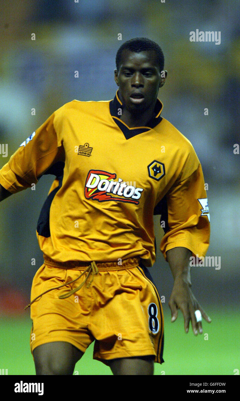 Henri camara wolves hi-res stock photography and images - Alamy