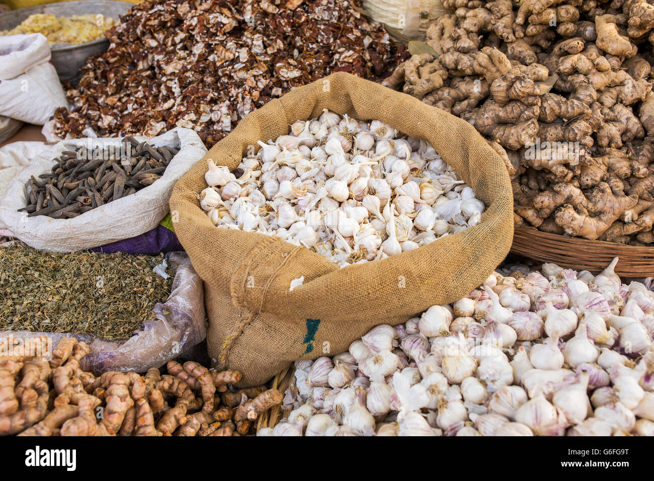 Garlic india hi-res stock photography and images - Alamy