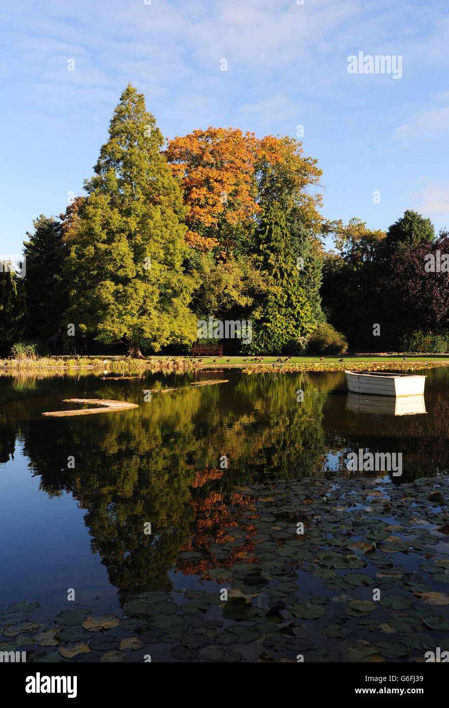 Autumn weather Oct 7th Stock Photo - Alamy