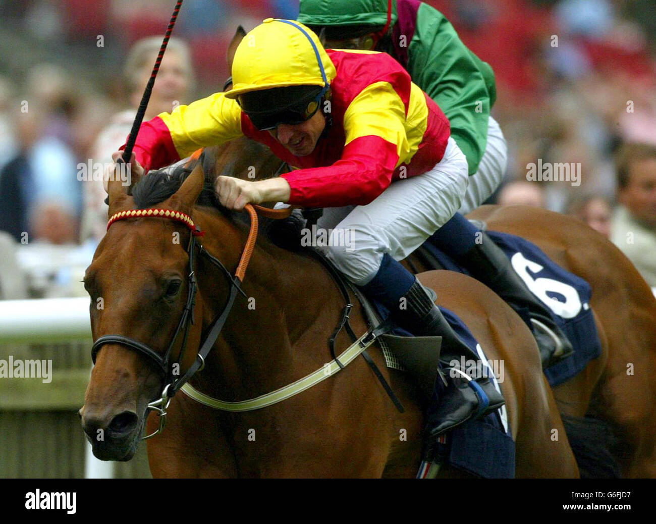 Second race newmarket racecourse newmarket racecourse hi-res stock ...